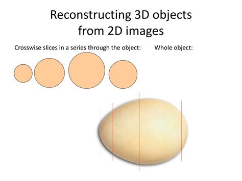 Ppt 3 D Sections Powerpoint Presentation Free Download Id1428203