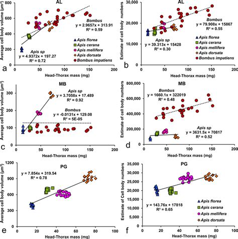 Comparison Of Estimated Average Cell Body Volume A C E And