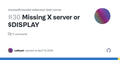Missing X Server Or Display Issue Microsoft Vscode Extension Test Runner Github