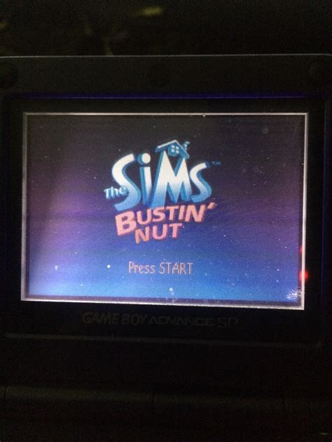 The Sims Bustin Nut Rsbubby