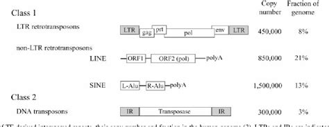 figure 1 from patterns of sequence conservation at termini of long