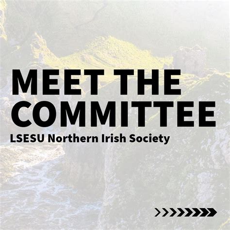 Lse Su Northern Irish Society On Linkedin Meet Our Committee Joel
