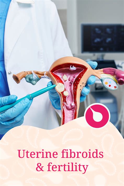 What Is Fertility Awareness Artofit
