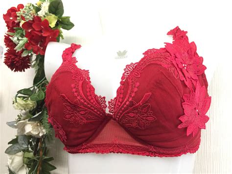 【目立った傷や汚れなし】。oグラマーサイズh70♪美品【wacoalワコール サルート Btj460】補正 豪華花柄刺繍 P Up プッシュ