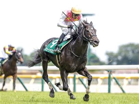 【阪神ジャンプs出走馬・騎手確定】ジューンベロシティ＆西谷誠騎手、ホッコーメヴィウス＆平沢健治騎手など14頭 その他競技 スポーツブル