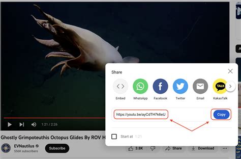 Annotating YouTube Videos With The Hypothesis Web App Hypothesis