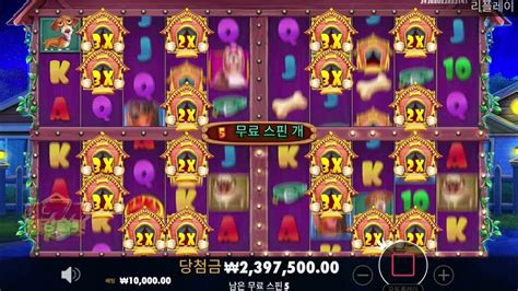 최강슬롯 월월 개처럼 짖겠습니다 형님 도기스타일 1390만원승 고마우이 프라그마틱 게이트오브올림푸스 그래비티보난자 프라그마틱슬롯 슬롯머신 슬롯실시간 잭팟