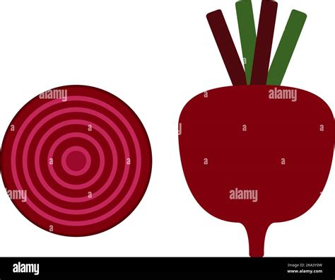 Beet With Tops And Beet Slices Healthy And Delicious Food Vector