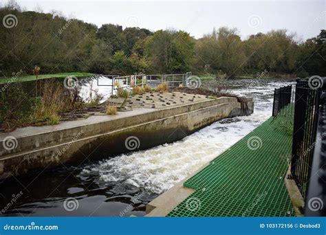 Sprotbrough And Warmsworth River Don Weir Salmon Run Fish Pass Stock