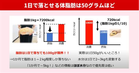 【筋トレなし】脂肪だけ落とすなら食事の見直しから！痩せの原理やメニュー例4選を紹介 体脂肪専門家くどう公式サイト