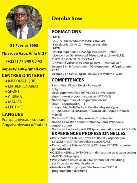 Cv Demba Sow Pdf Génie Logiciel Âge De Linformation