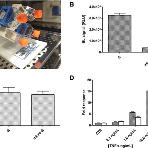 The String Protein Protein Interaction Network Queried With Dnajc5