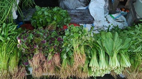 Harga Sayur Di Pasar Namlea Maluku Melonjak Buncis Tembus Rp60 000 Per