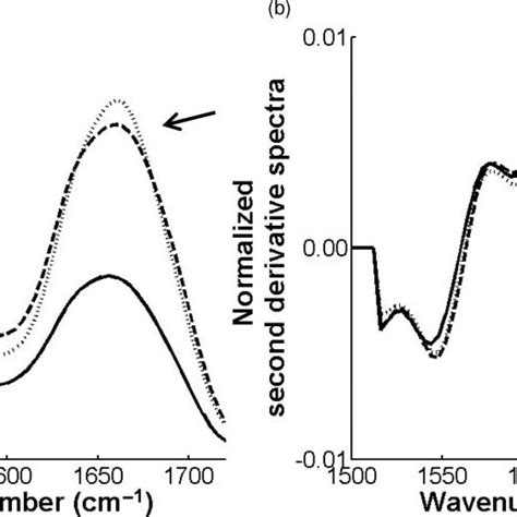 A Average Raw Absorbance Spectra And B Second Derivative Spectra