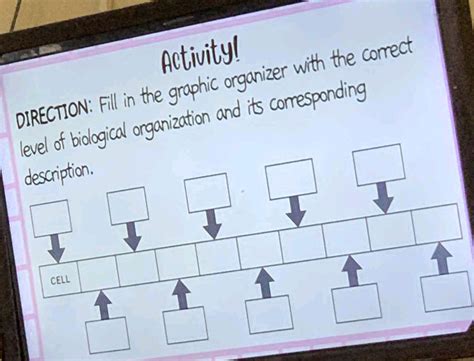 Activity Direction Fill In The Graphic Studyx