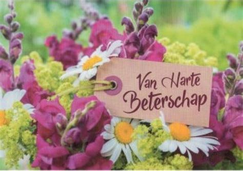 Van Harte Beterschap Een Kleurrijke Kaart Met Madeliefjes En Andere Bloemen Een Bol
