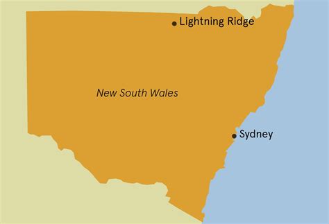Fossils In Lightning Ridge Nsw The Australian Museum