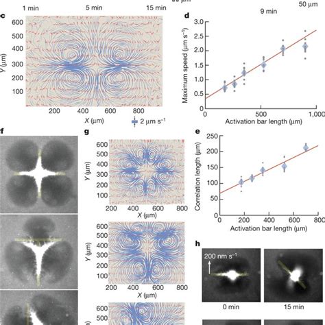 Advective Fluid Flow Is Created And Controlled With Patterned Light A