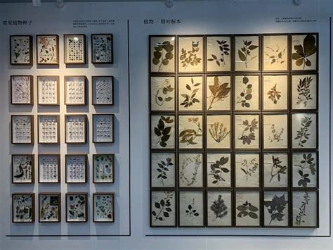 上海植物园生物多样性保护科普展