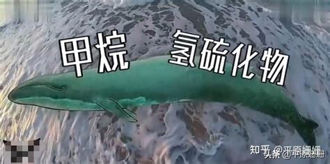 为什么人不能碰在沙漠中渴死的骆驼？ 知乎