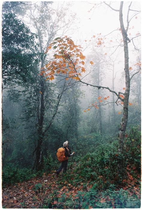 Tour Trekking Samu Hiking XuyÊn RỪng NguyÊn Sinh HƯỚng TrẠm TẤu