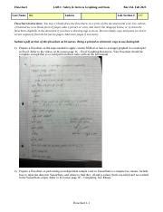Flowchart Instructions For Applying Custom Sem Error Bars In Course Hero