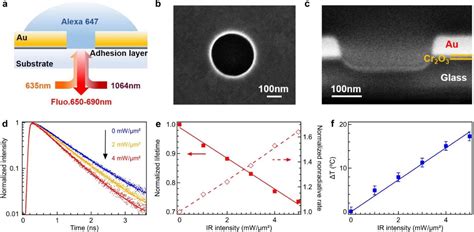 Figure 1 From Adhesion Layer Influence On Controlling The Local Temperature In Plasmonic Gold