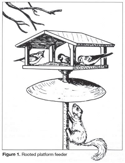 Bird Feeder Drawing At GetDrawings Free Download