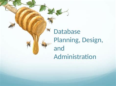 Pptx Database Planning Design And Administration Stages Of The