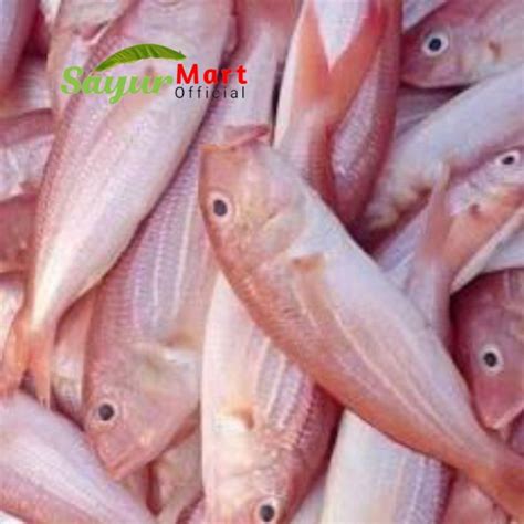 Jual Ikan Kurisi Segar 1kg Shopee Indonesia