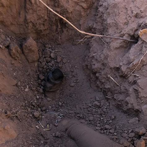 Ceci Flores Y Colectivo Madres Buscadoras De Sonora Hacen Oficial Descubrimiento De Fosas