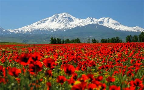 Ardabil Province Top Tourist Attractions Places And Things To Do