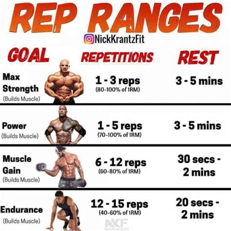 Are You Ready To Go From Newbie To Pro Then Follow This 8 Week Plan