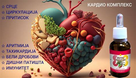 Health КОЈА ХРАНА ИМА НАЈДОБАР ЕФЕКТ ВРЗ СРЦЕТО ВИСОК ПРИТИСОК НИЗОК ПРИТИСОК АРИТМИИТЕ