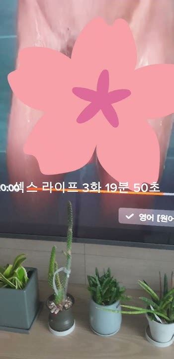 넥플릭스섹스 라이프 3화 19분 50초 Youtube