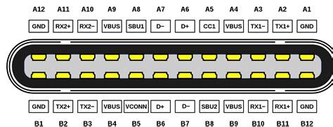 Type C 6p 16p 24p