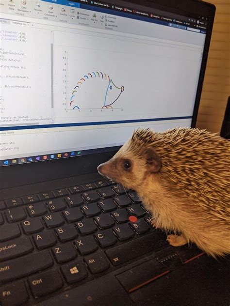 Mathworks On Linkedin Meet Pepper Our Newest Matlab Engineer Were Hiring 🦔 ️… 46 Comments