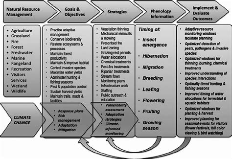 Examples Of How Phenology Information E G Timing Of Insect