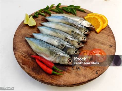 나무 패드에 허브와 야채로 장식 신선한 생선 말 인도 고등어 물고기를 요리 할 준비가 준비 냉동된에 대한 스톡 사진 및 기타 이미지 Istock