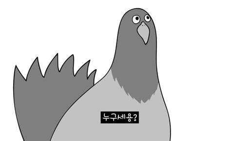 길 걷는데 비둘기 한 쌍이