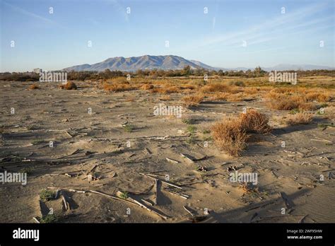 Beach Protected Bird Breeding Areas Natural Park Guadalhorce Estuary