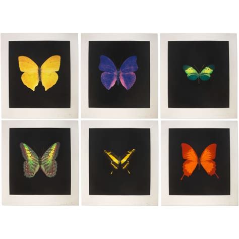 Buy Damien Hirst Signged Prints Signed Editions Andipa Editions