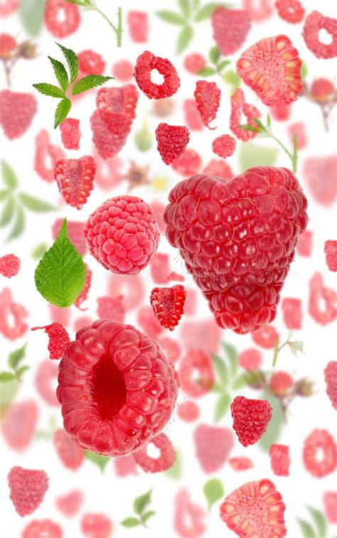 Raspberry Slice And Leaf Abstract Stock Image Image Of Berry Large