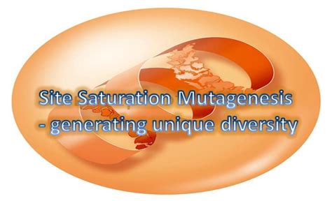 Site Saturation Mutagenesis Creative Biomart