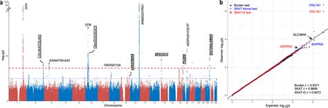 manhattan plot of manhattan plot of gwas for neovascular amd namd and
