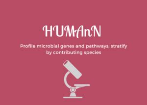 Humann Pipeline Mucosal Immunology Lab Microbiome Analysis Github Wiki