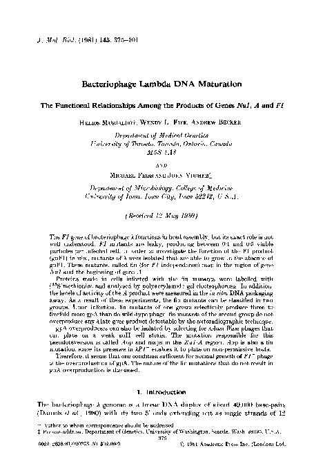 Pdf Bacteriophage Lambda Dna Maturation