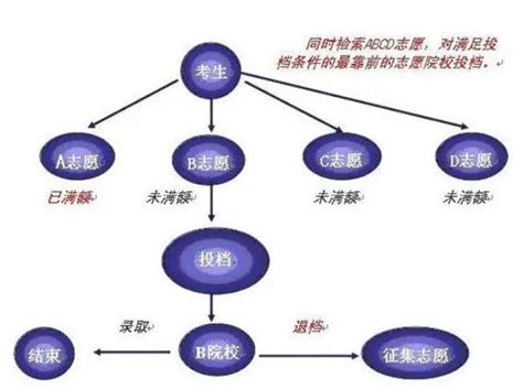 2024高考平行志愿录取规则图解 怎么填报容易录取 高三网