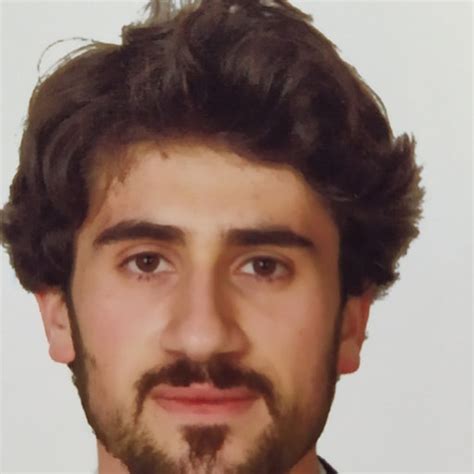 Mahmut Cansiz Social Sciences University Of Ankara Ankara Department Of Political Science