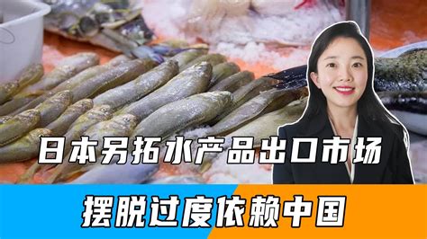 摆脱对华依赖，日本水产迎来转机？岸田苦求之下，中日将举行磋商凤凰网视频凤凰网